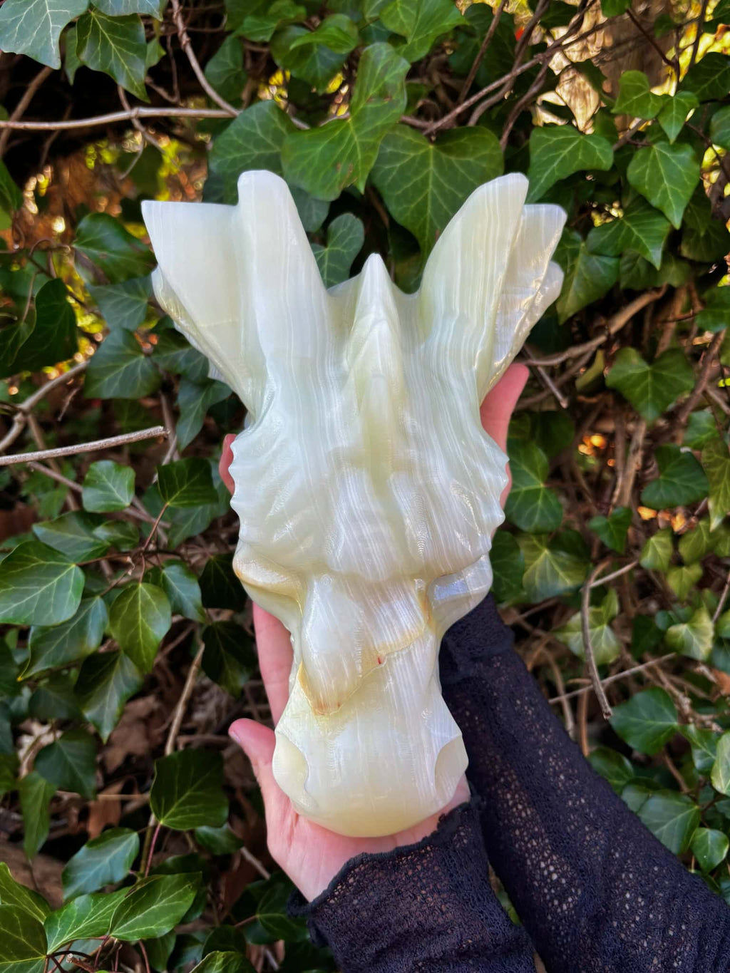 Onyx Crystal Dragon Head - Strength, Protection & Wisdom – The Boho Depot