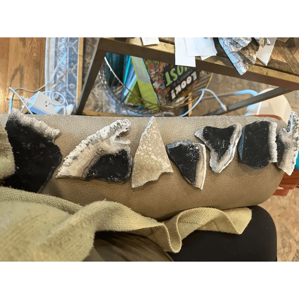 Fossilized Coconut Slab – The Boho Depot