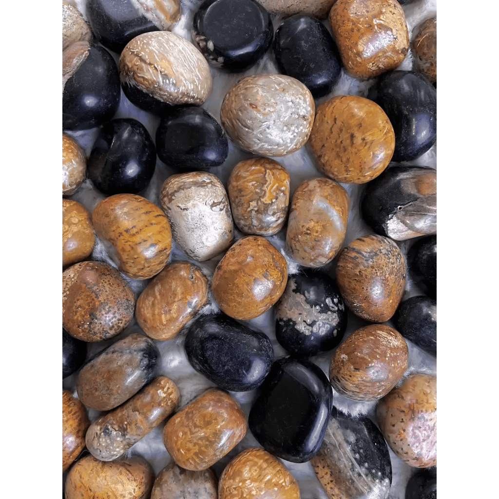 Palm Root Tumble Crystal - Rare Crystal - Rocks & Fossils – The Boho Depot